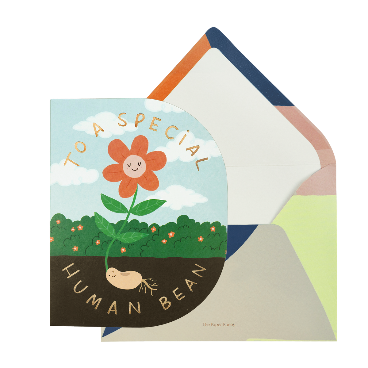 Special Bean Greeting Card – The Paper Bunny
